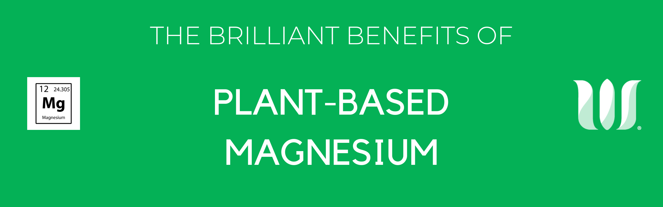 Plant-Based Magnesium: Unlock Brilliant Health Benefits