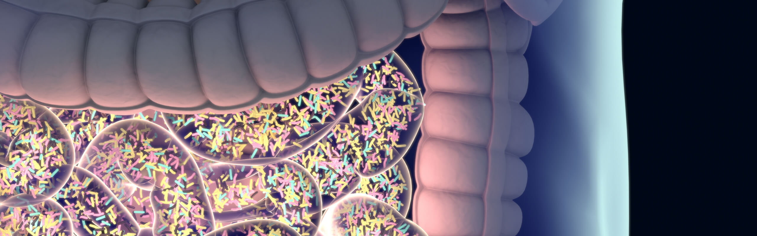 Microbiome Insights: Enhance Gut Health with Probiotics & Prebiotics