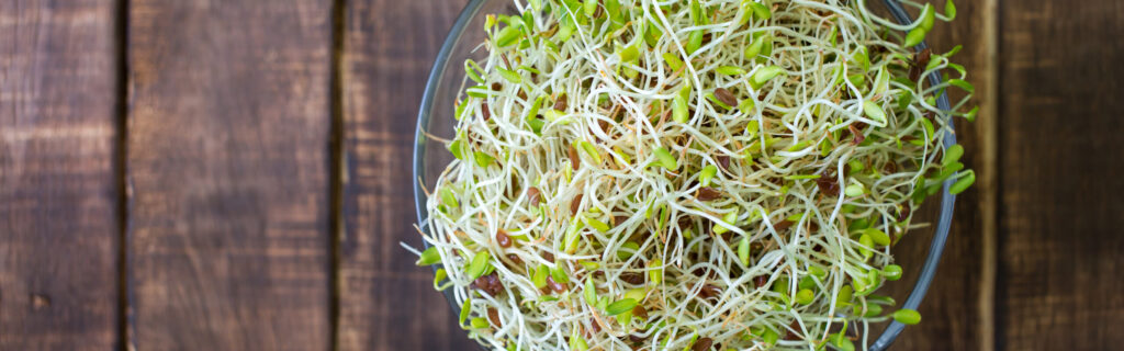 Discover Alfalfa's Health Benefits: Nutrient-Packed Superfood