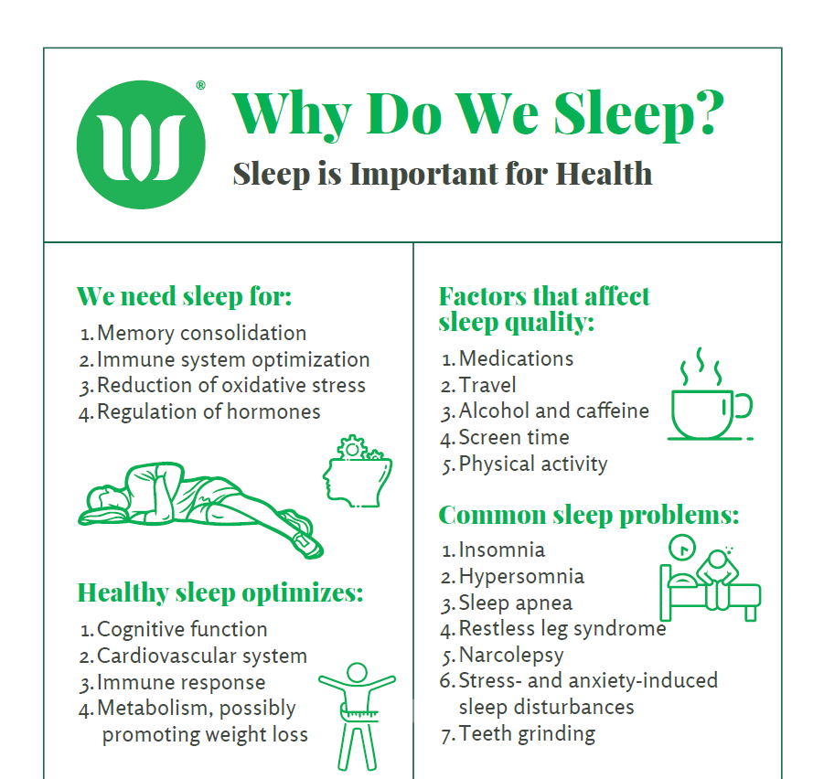 Why Do We Sleep WholisticMatters Why Do We Sleep WholisticMatters