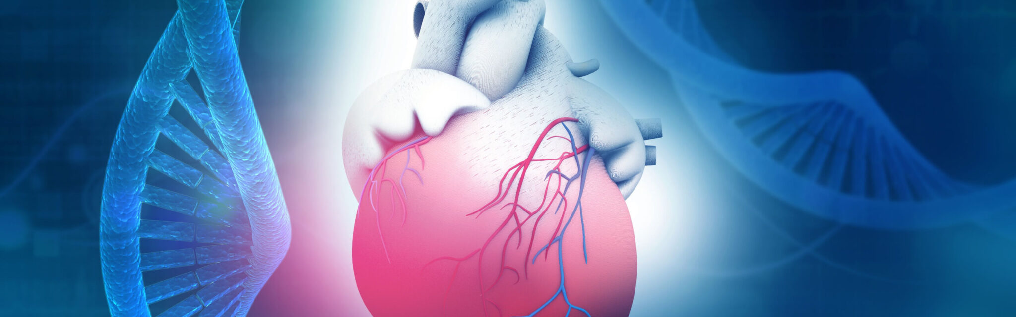 Boost Cardiovascular Health: Nutrition & Fitness Tips