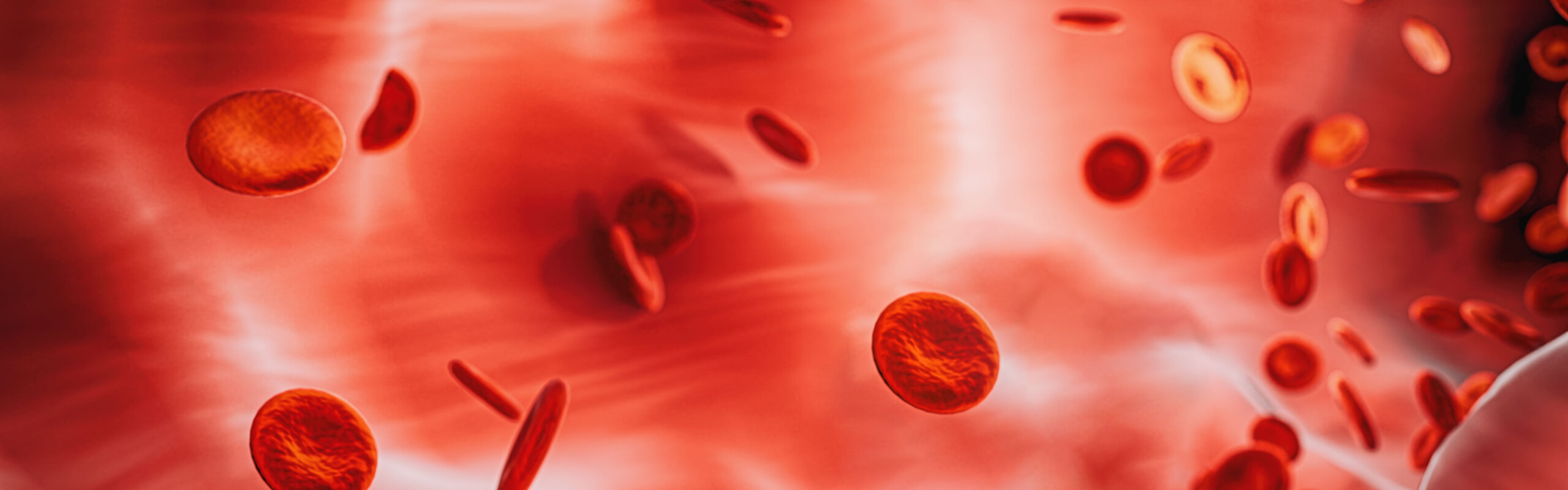 Circulation 101: Boost Heart Health with Fitness Tips