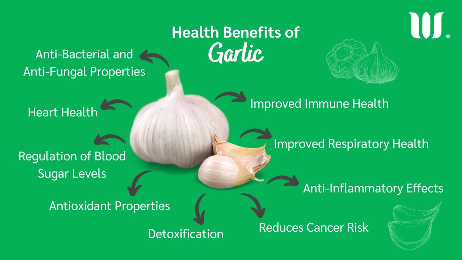Garlic for Digestive Health: Natural Remedy for Gut Wellness