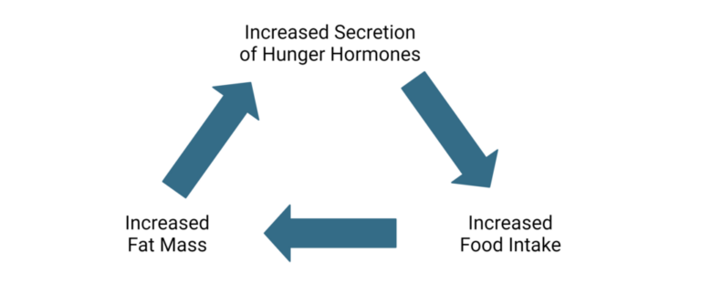 Hormones in Hunger and Satiety: Understanding Appetite Control