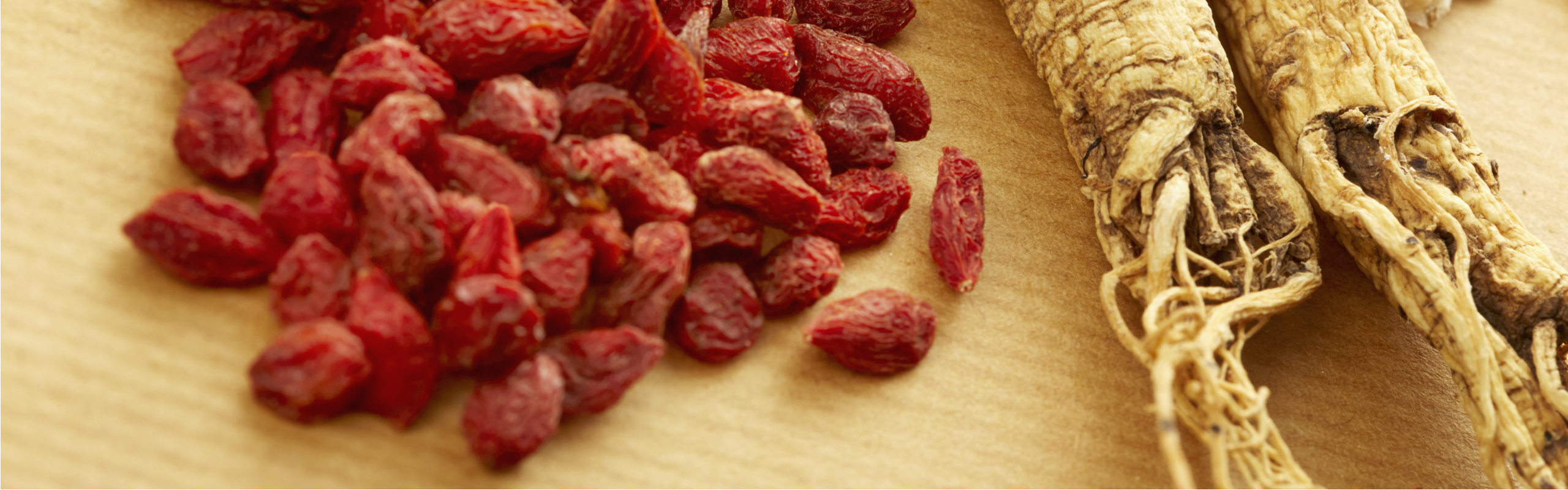 Chinese Ginseng Benefits and Safety - Wholistic Matters