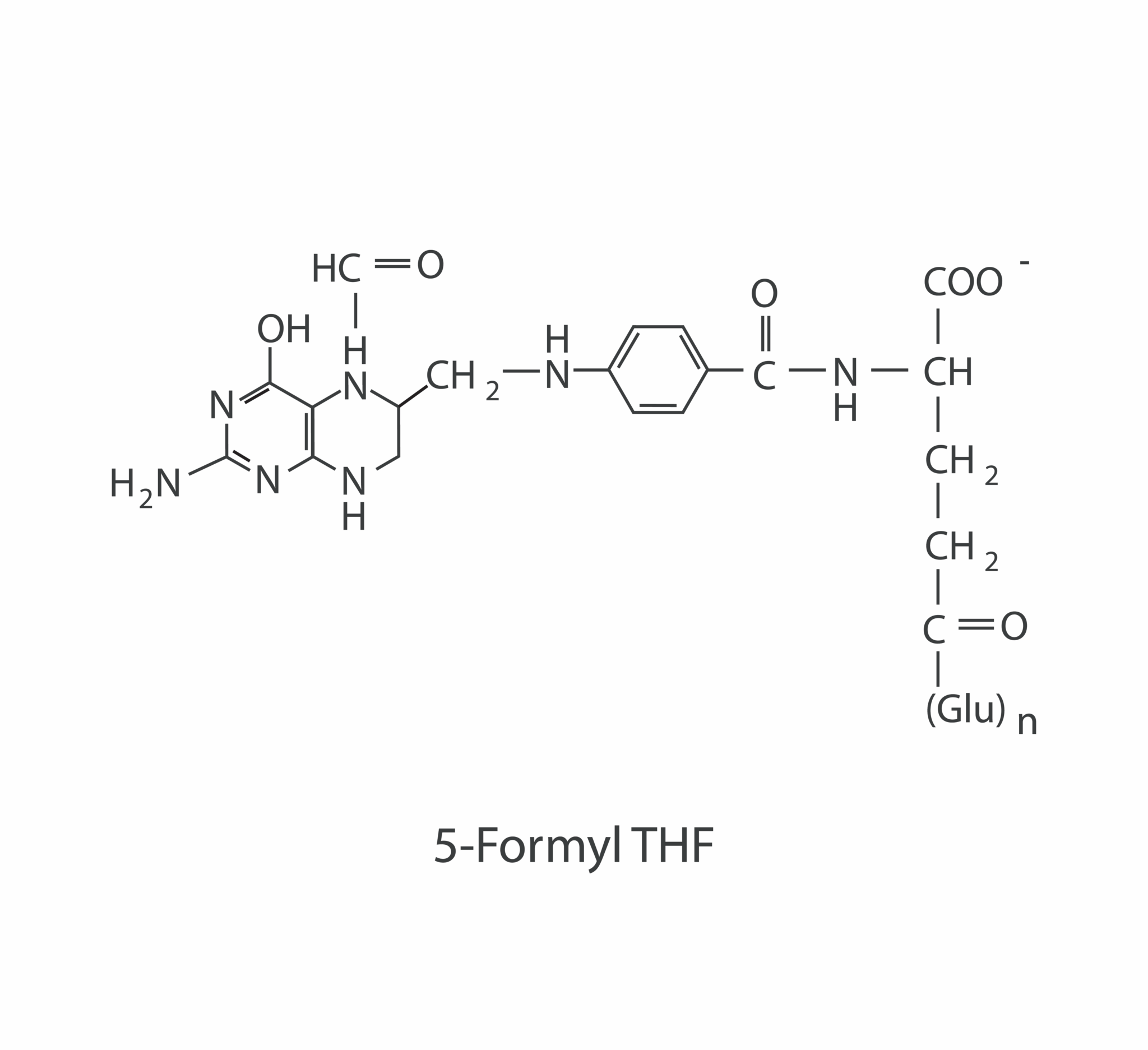 Forms of Folate in Dietary Supplements - WholisticMatters